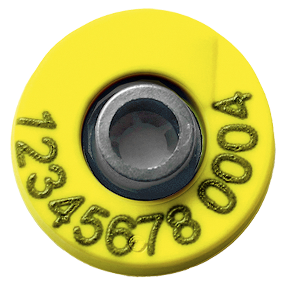 Combi E30 HDX electronic reusable ear tag - OS ID